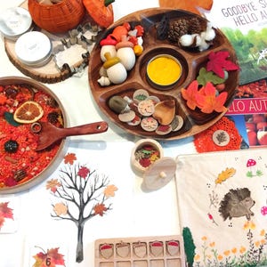 Montessori Fall Season Sensory Learning Kit, Loose Parts , Educational ...