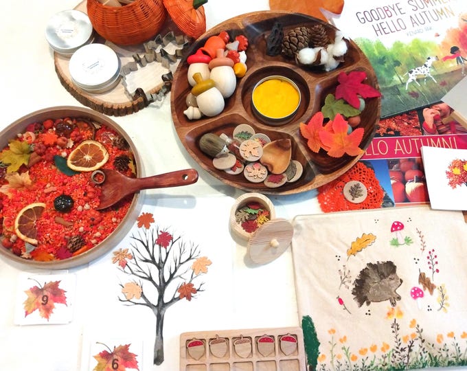 Montessori Fall Season Sensory Learning Kit, Loose Parts , Educational ...