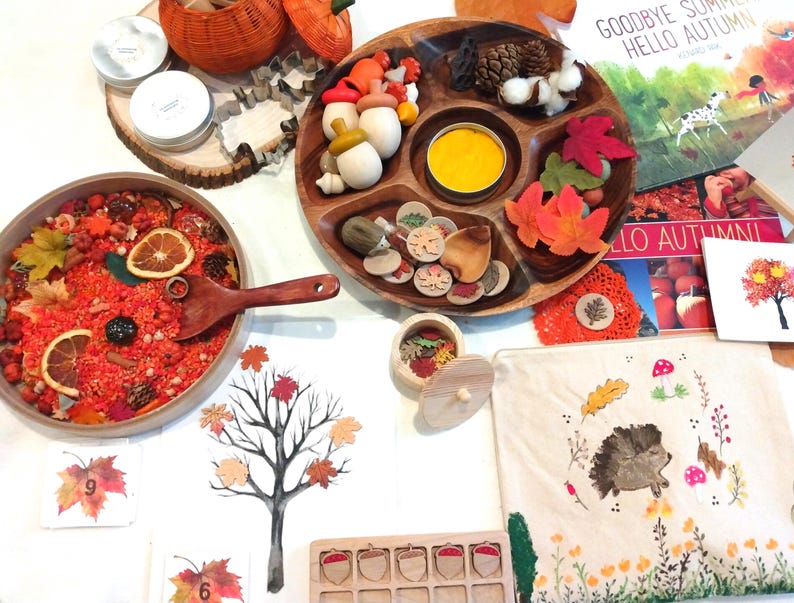 Montessori Fall Season Sensory Learning Kit, Loose Parts , Educational ...