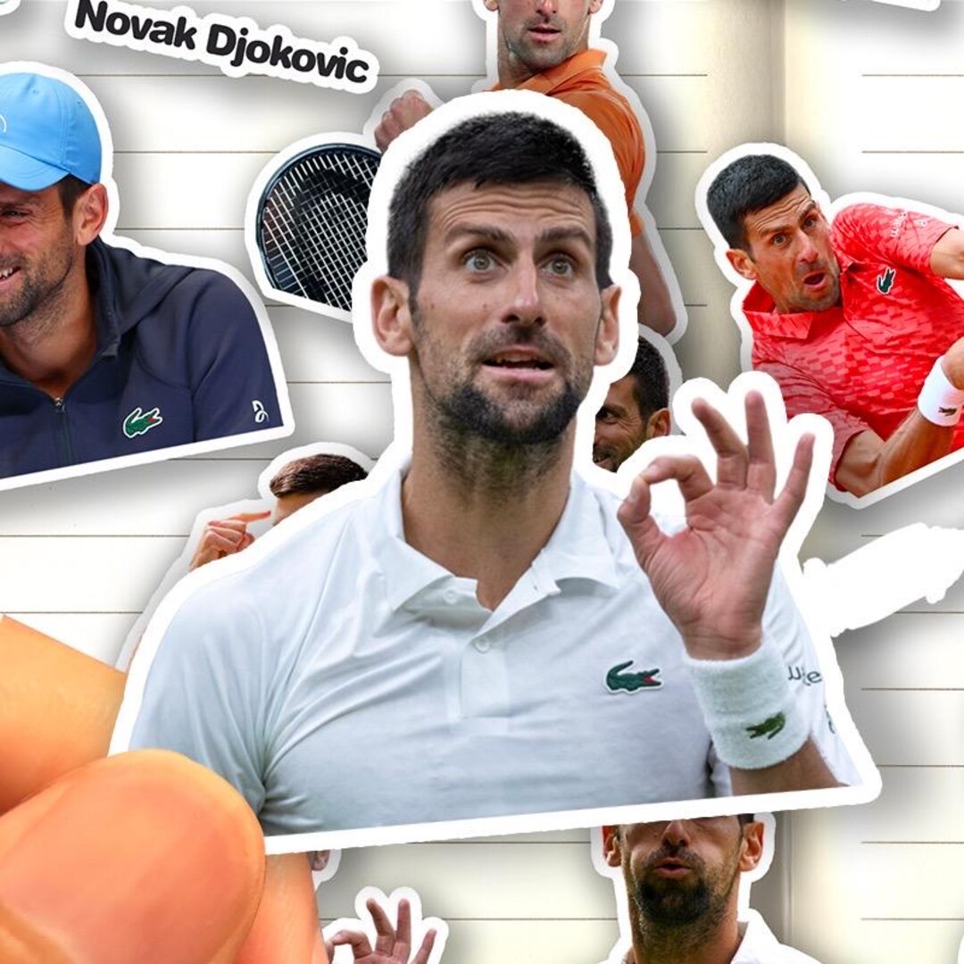Novak Djokovic Vinyl Stickers for Water Bottles, Laptop Sticker ...