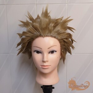 Hawks Wig Keigo Takami by Order for Cosplay INFO ONLY Chicken Hero ...