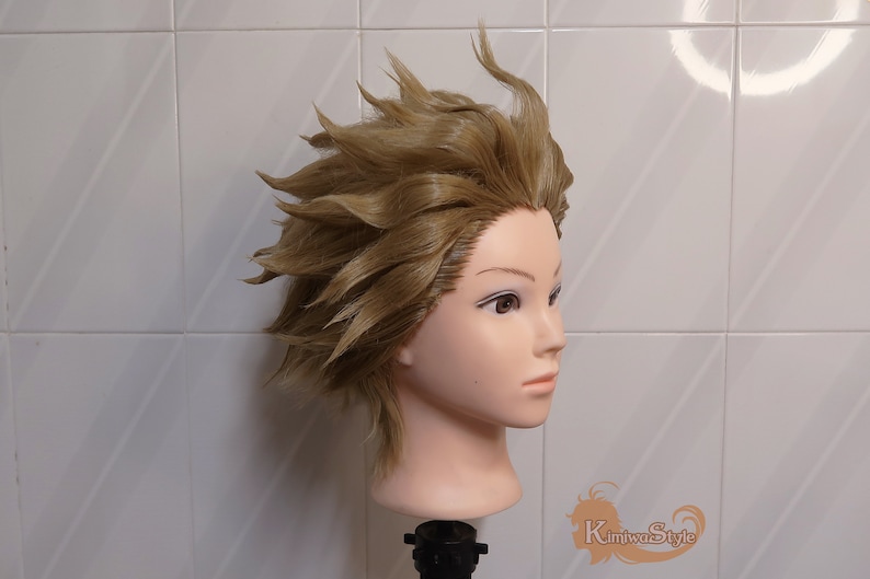 INFO Hawks Wig Keigo Takami by Order for Cosplay INFO ONLY [ Chicken ...