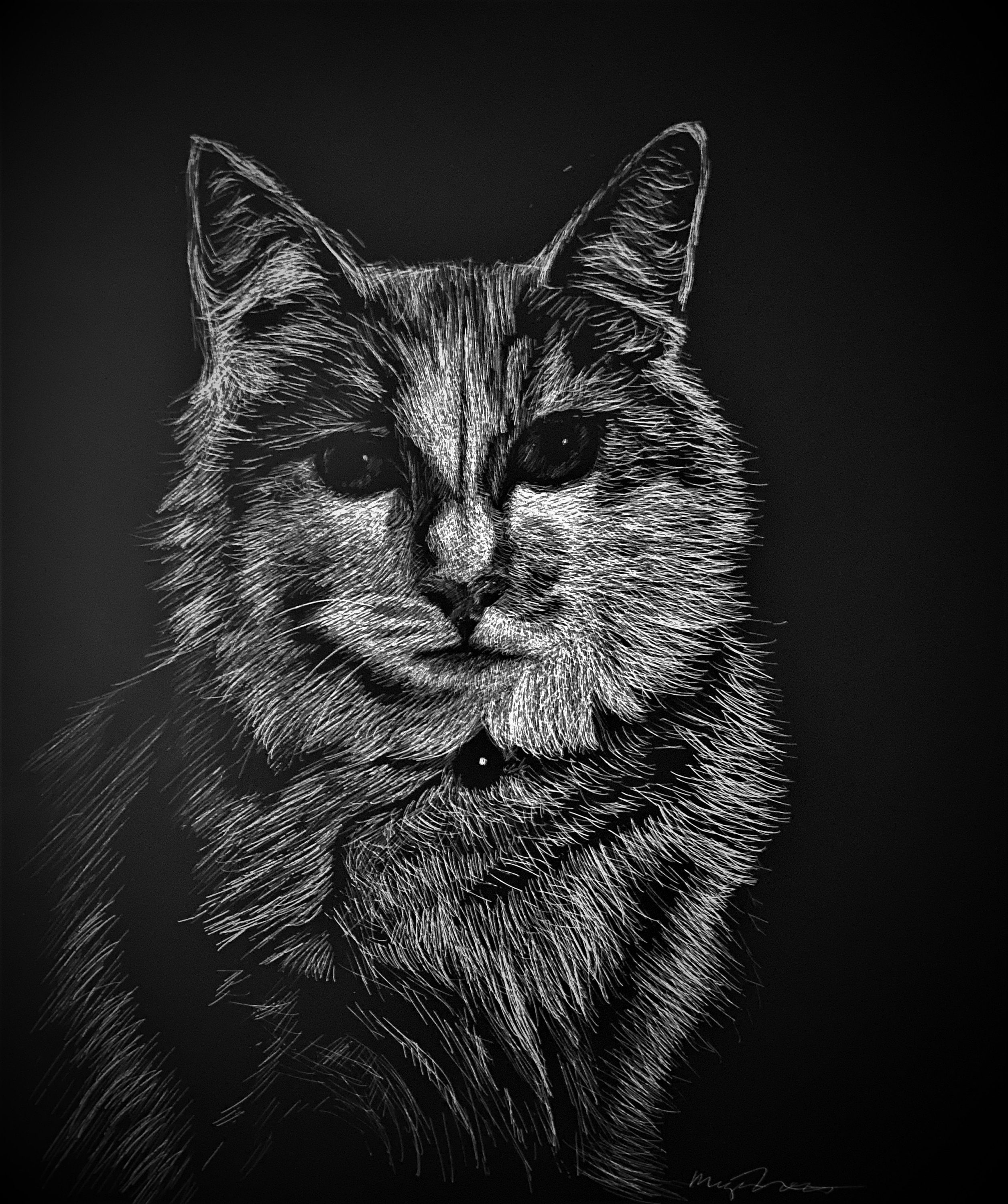 Black And White Scratch Art Ideas