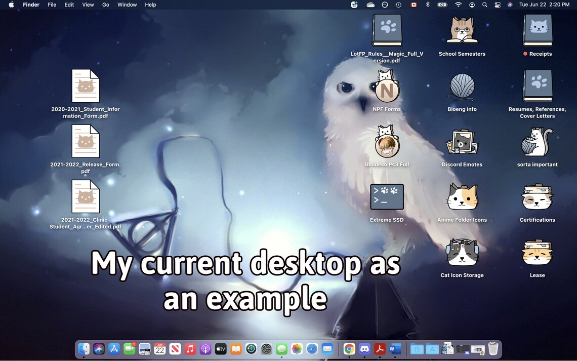 Cute Cat Folder Icons Neutral Denim Windows and Macos - Etsy