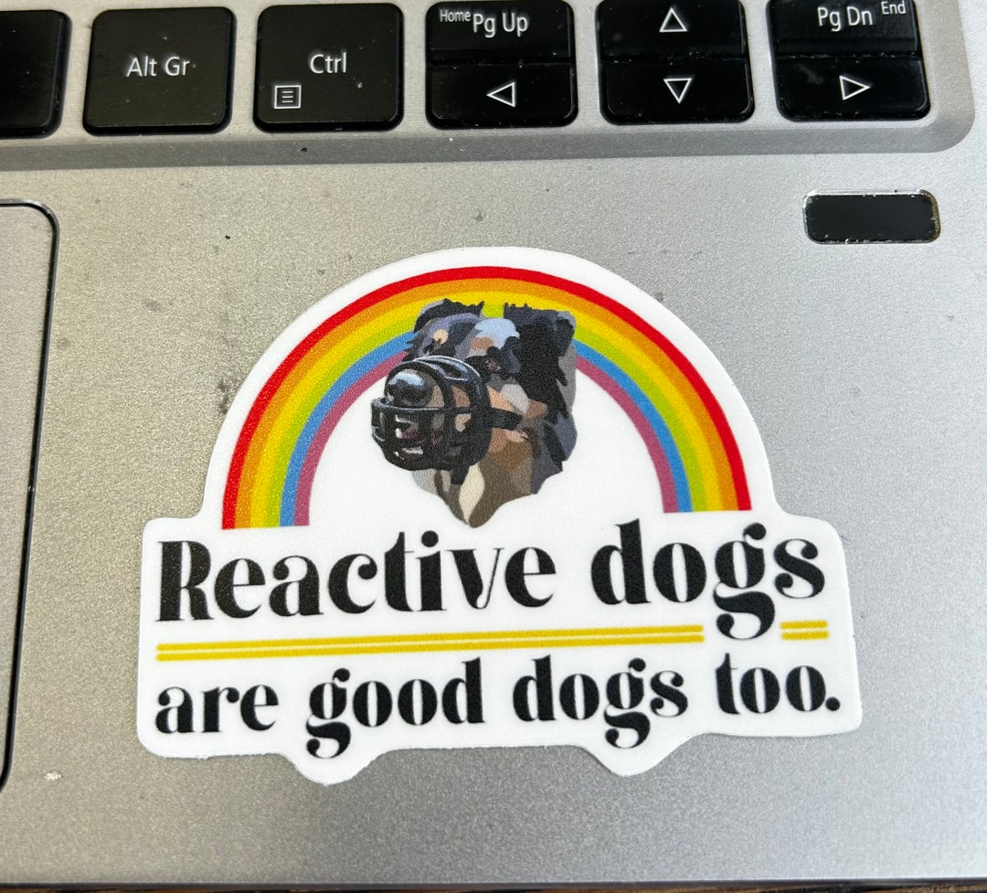 Reactive Sticker - Etsy