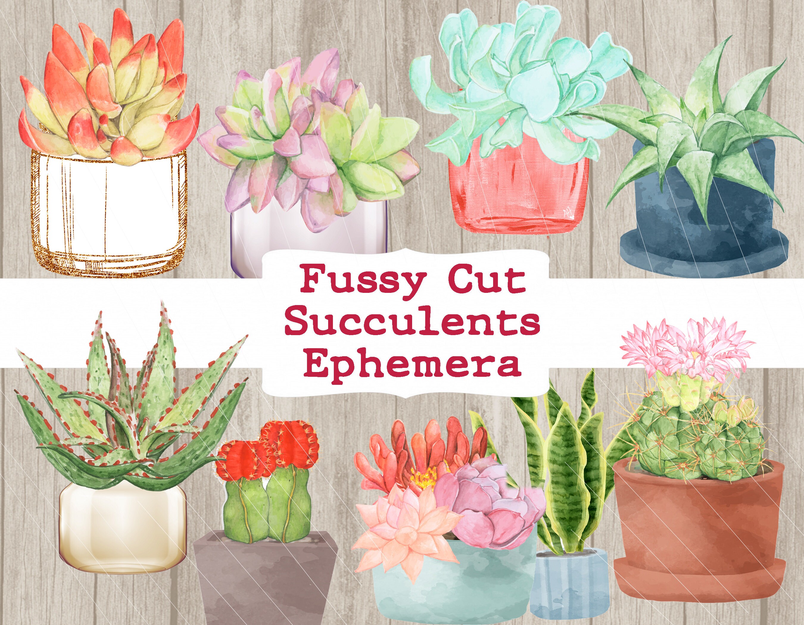 Watercolor Succulents, Printable, Ephemera, Sticker, Sheet, Cactus ...
