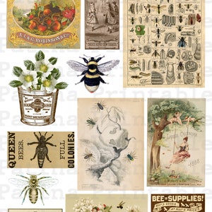 Vintage Ephemera Pack, Vintage, Summer, Ephemera, Honey, Bee, Printable ...