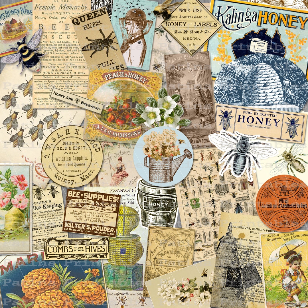 Vintage Ephemera Pack, Vintage, Summer, Ephemera, Honey, Bee, Printable ...