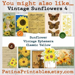 Days of the Week, Numbers, Label, Printable, Daily, Calendar, Labels ...