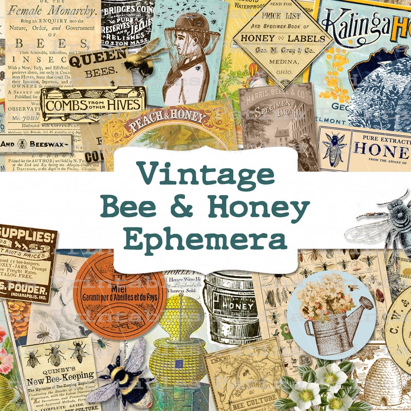 Bee Printable - Etsy