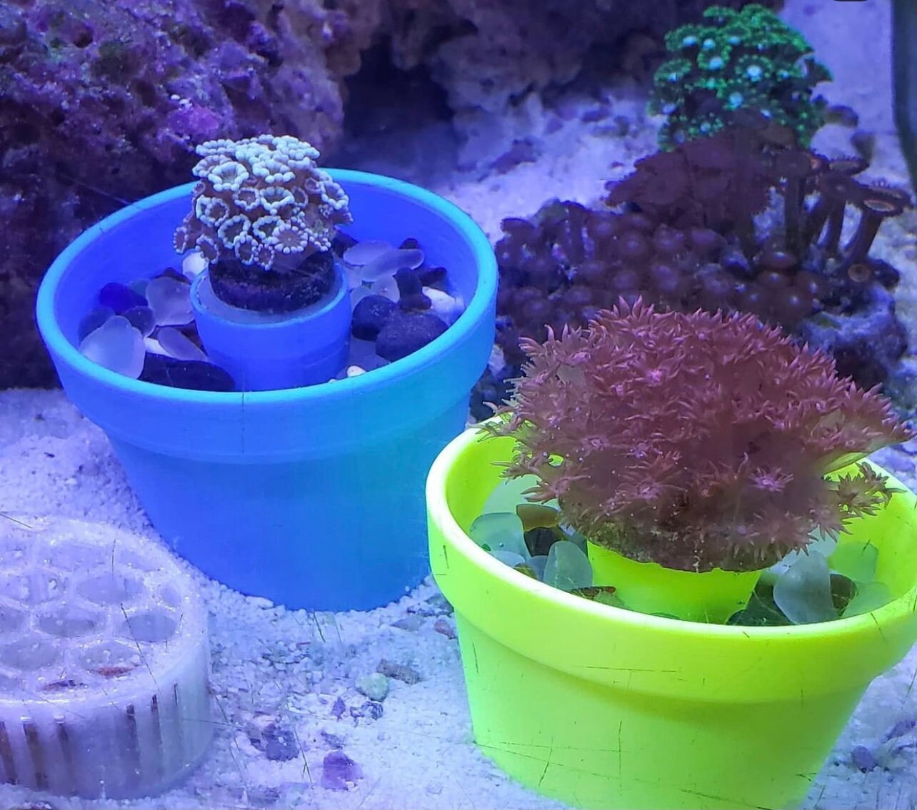 Custom 3D Prints. Frag Racks Groot Frag Plug Head - Etsy