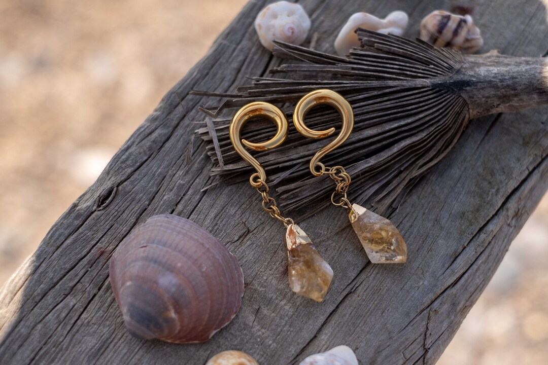 Ear Weights 
