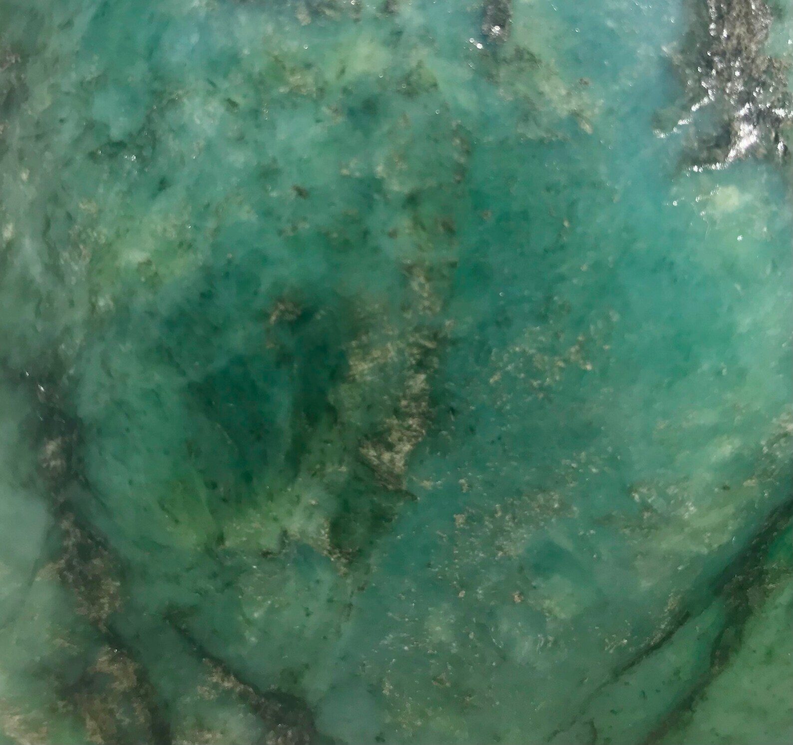 INCREDIBLE Big Sur Ocean Polished Jade Stone | Etsy