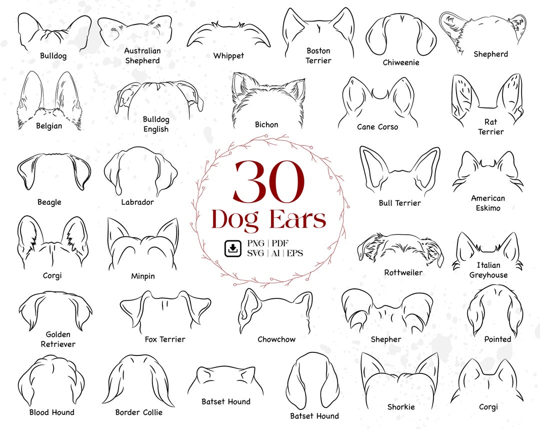 30 Dog Ear, Ear SVG, Dog Ear Drawing Bundle, Tattoo Commission, Dog Ear ...