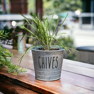 Farmhouse Herb Bucket Planter - Etsy