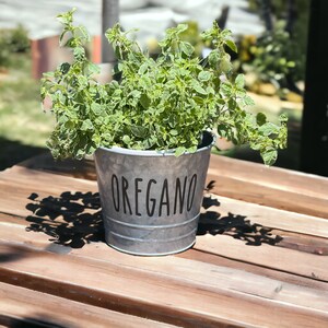 Farmhouse Herb Bucket Planter - Etsy