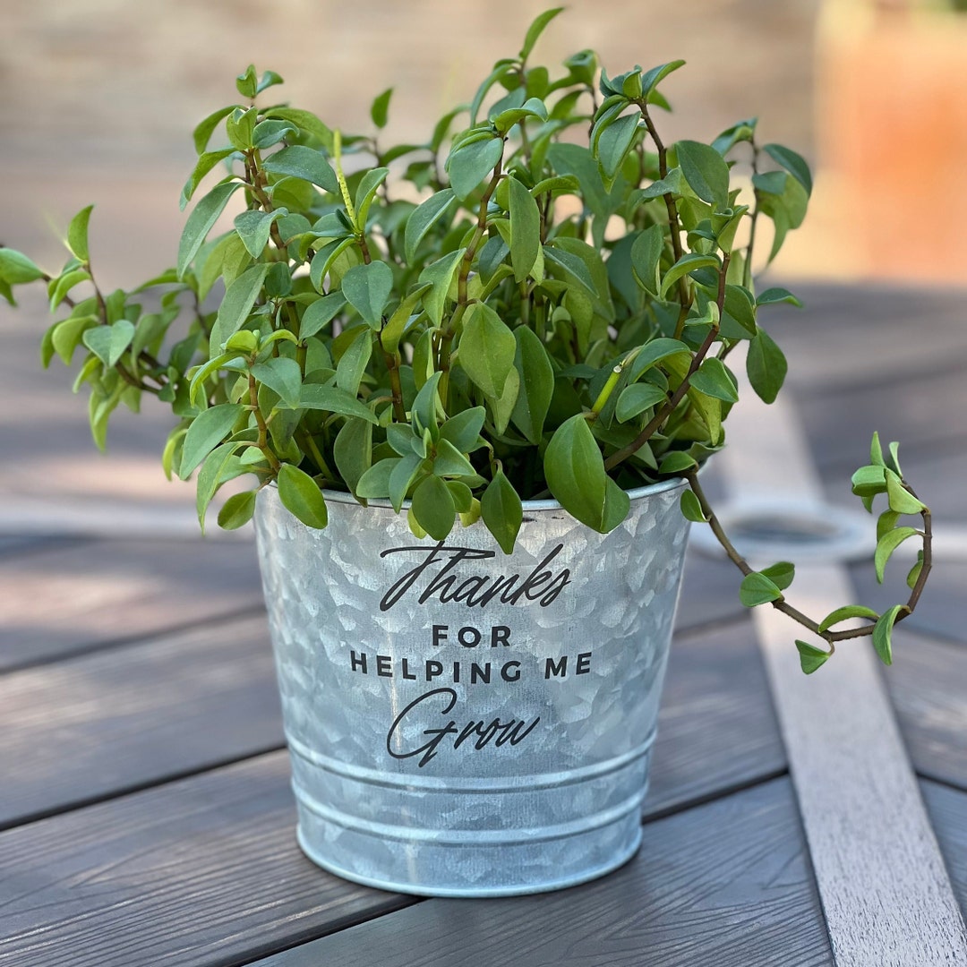 Thanks for Helping Me Grow - Galvanized Bucket Planter or Gift Basket ...