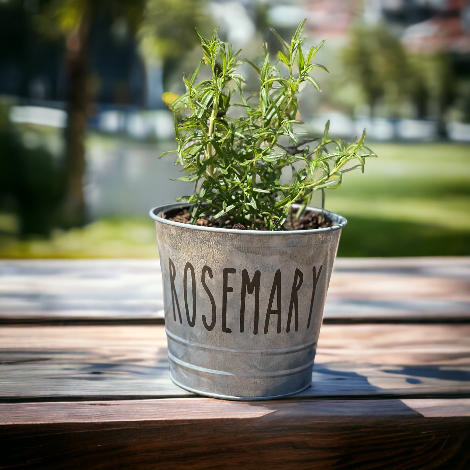 Farmhouse Herb Bucket Planter - Etsy