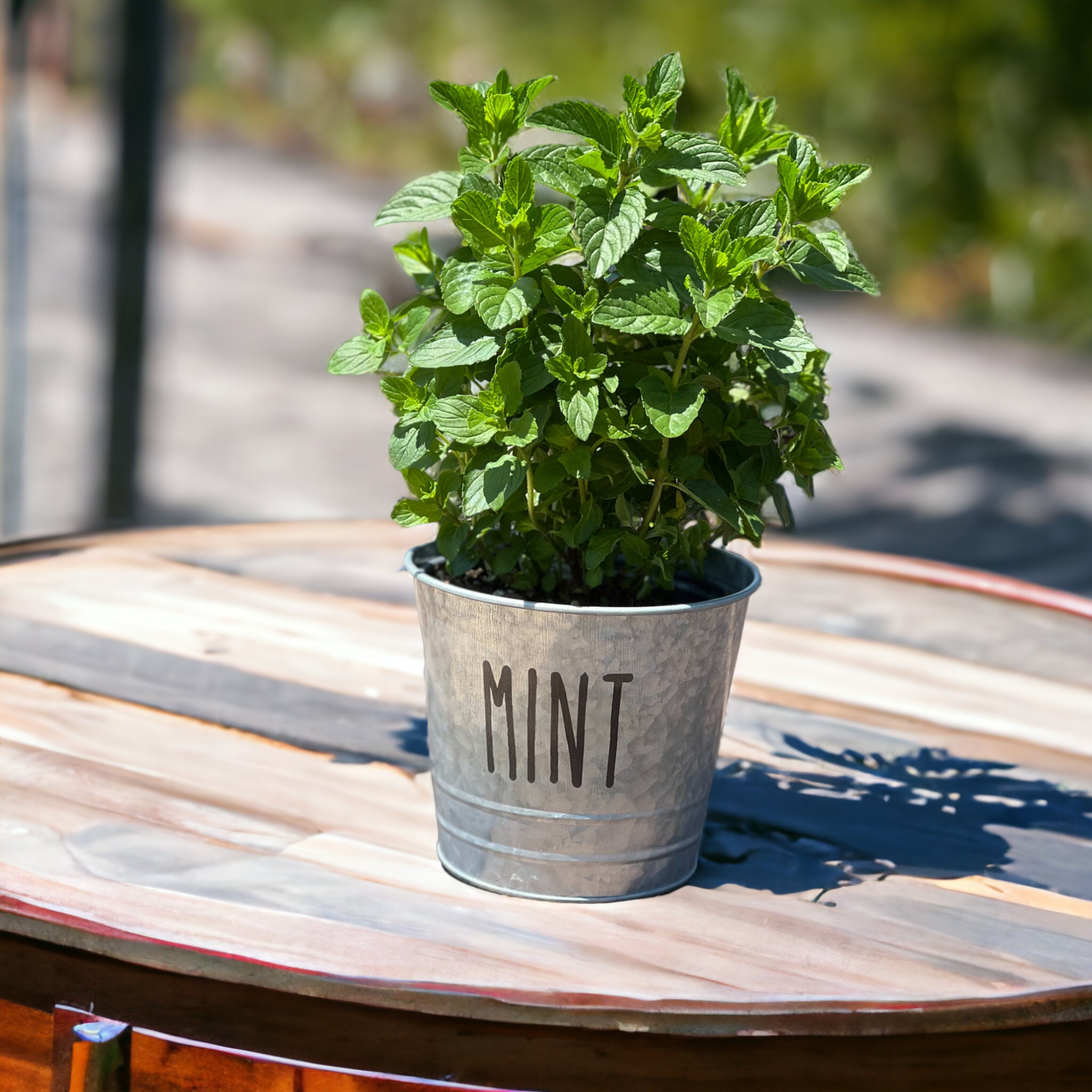 Farmhouse Herb Bucket Planter - Etsy
