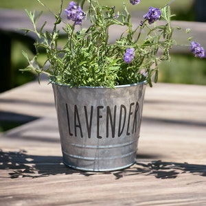 Farmhouse Herb Bucket Planter - Etsy