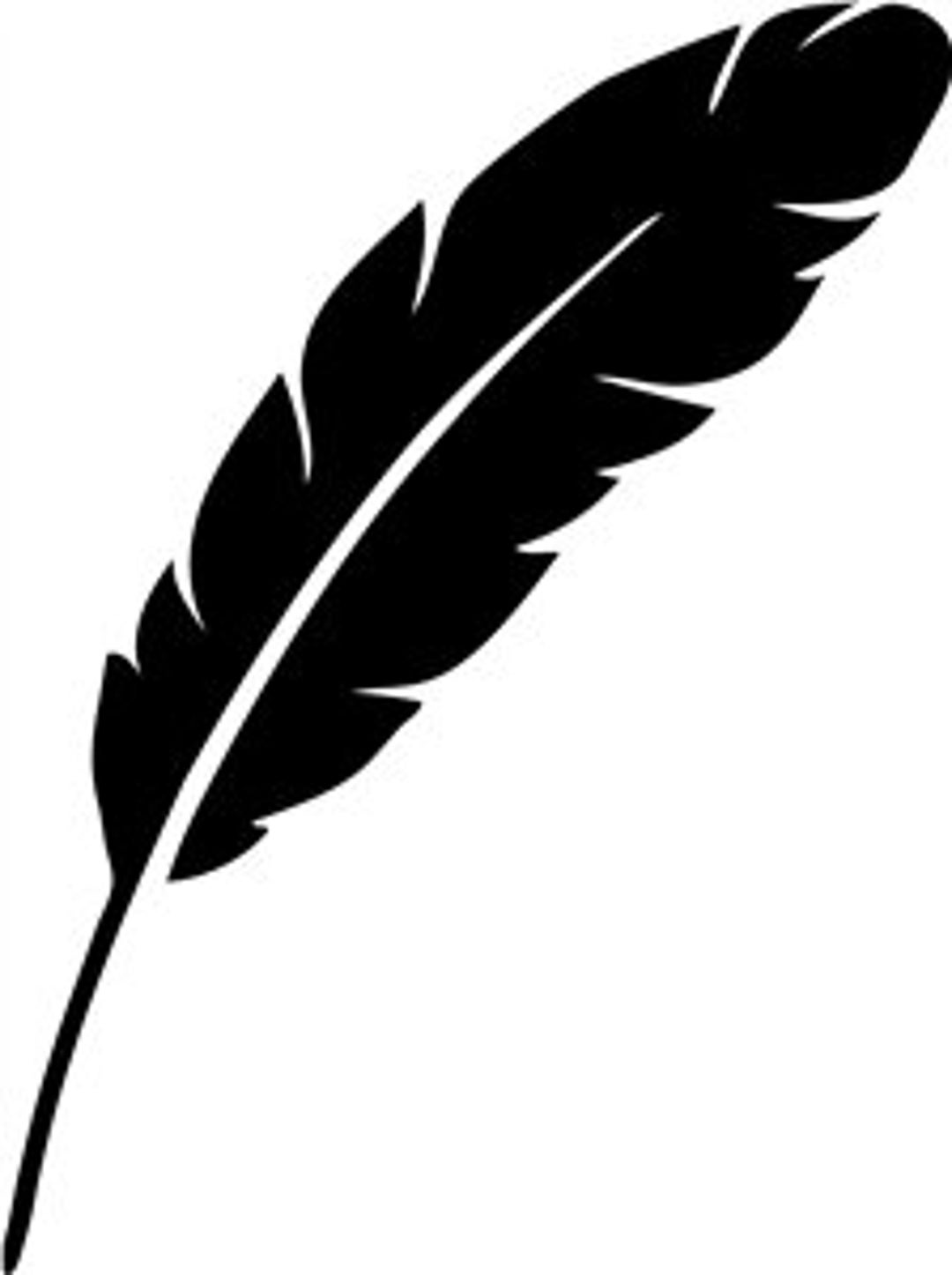 Feather Decal X2 at 16'' one Reversed - Etsy
