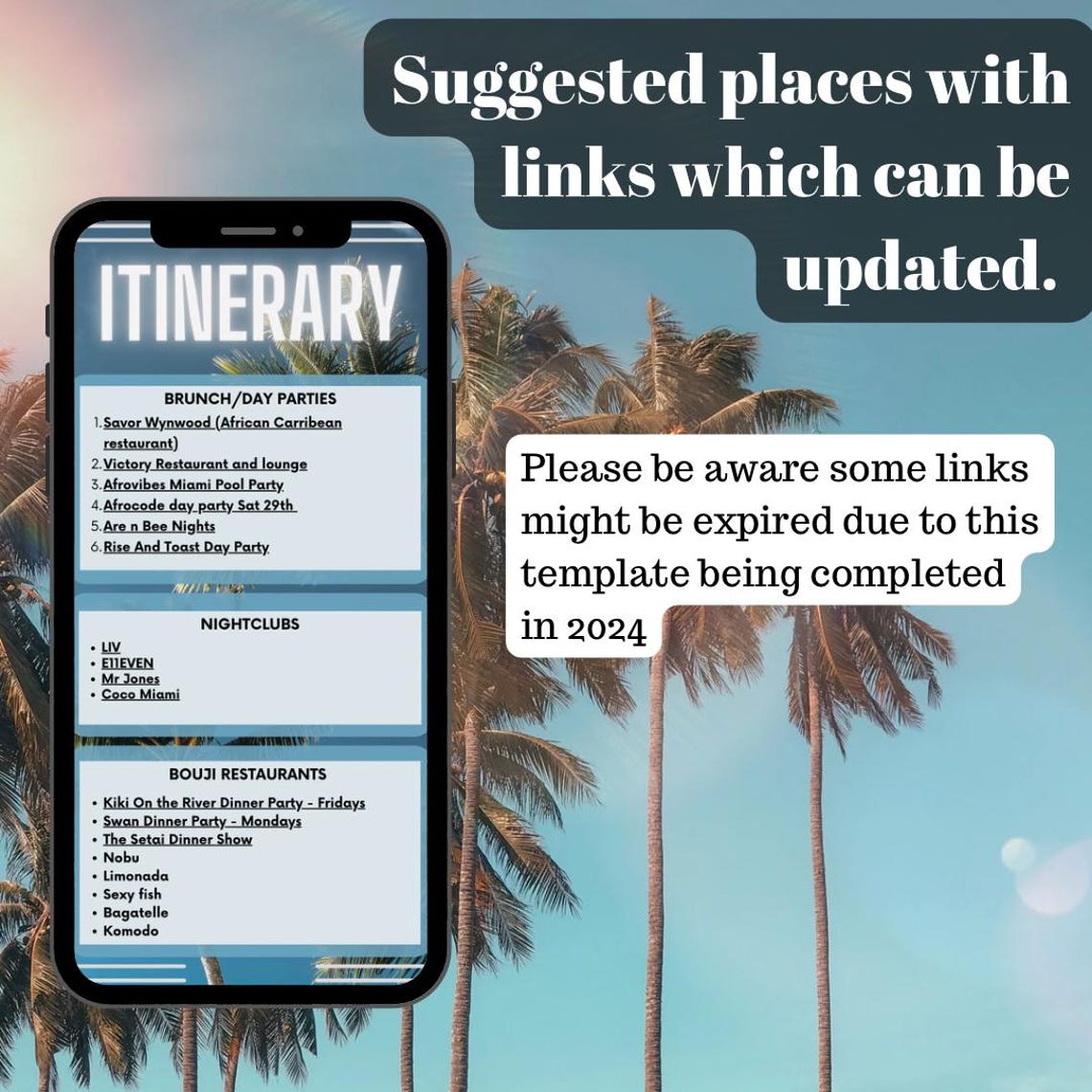 Animated Baecation Itinerary: Birthday Weekend Trip Planner (digital ...