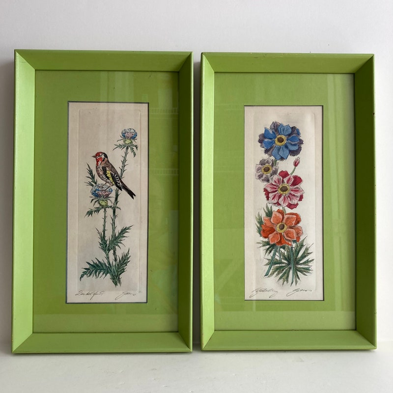 Hand Colored Etching - Etsy