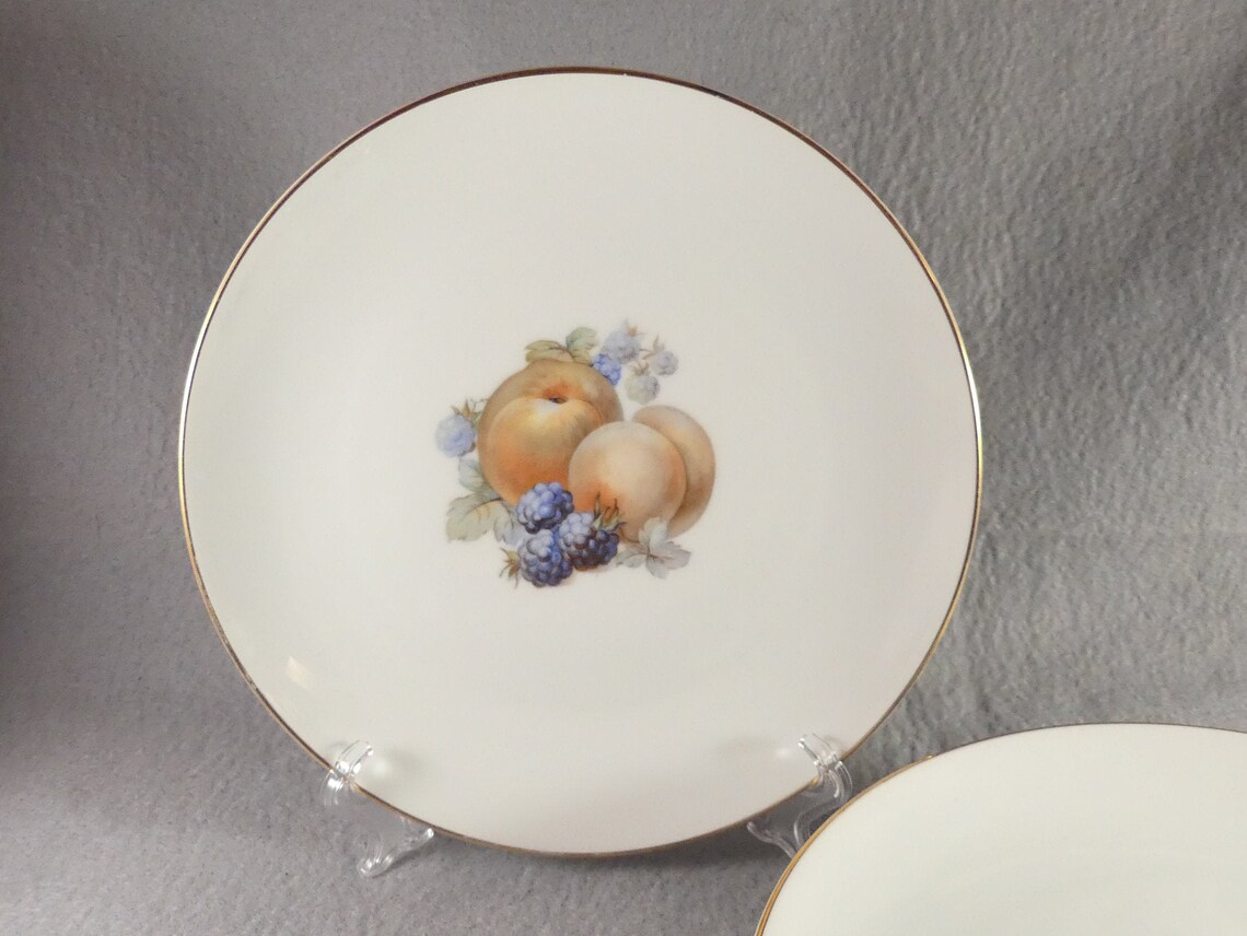 Set of 6 German Plates Schonwald 1950s Fruit and Nut Cake Desert Side ...