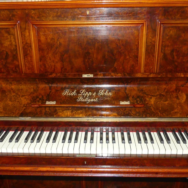 Antique Piano Key - Etsy