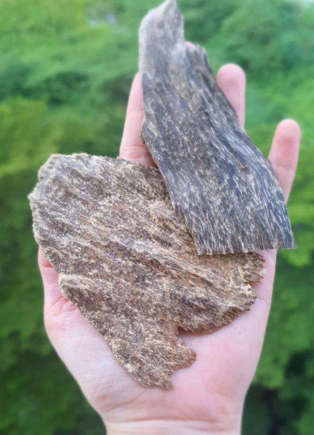 100 Grams Wild Vietnam Agarwood Chip oud Agarwood Burner/char Oud Grade ...