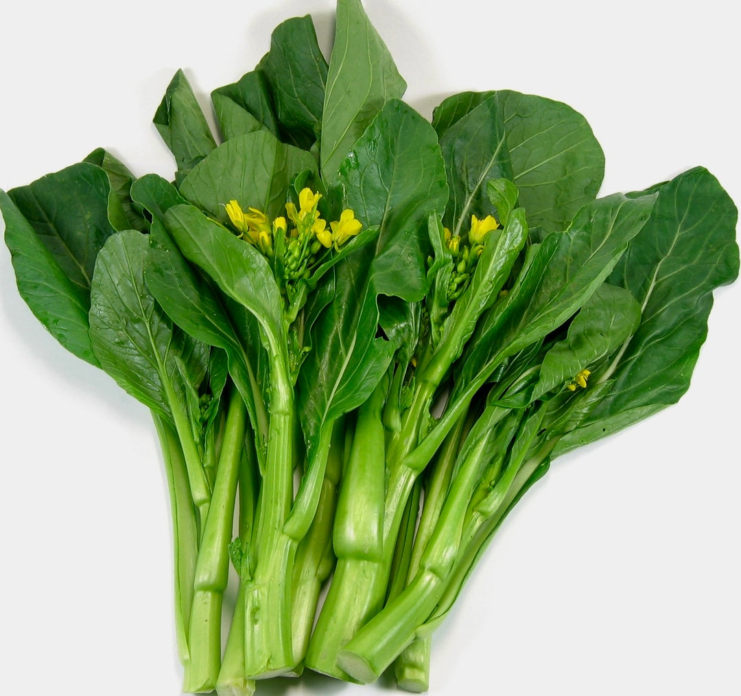 Choy Sum Seeds 菜心50 Seeds Each - Etsy