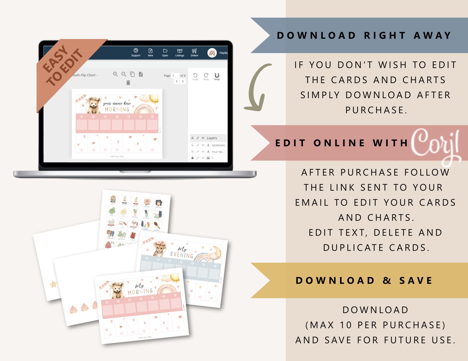 Safari Animals Routine Flip Chart, Editable Morning Bedtime Chart ...