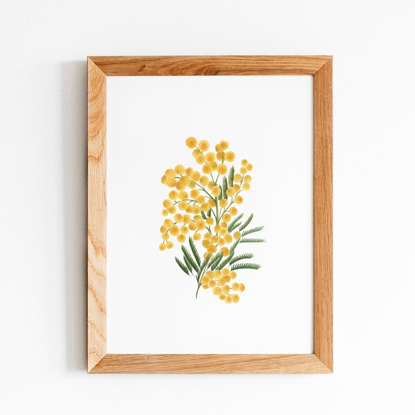 Wattle Drawing - Etsy Australia