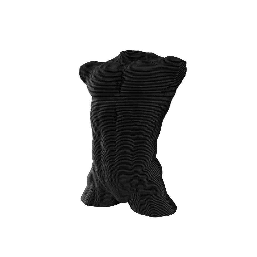 Muscular Bodybuilder Torso, Muscle Art Sculpture - Etsy