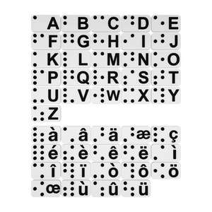 French Braille Alphabet Tiles, Educational Learning Toy, Tactile ...