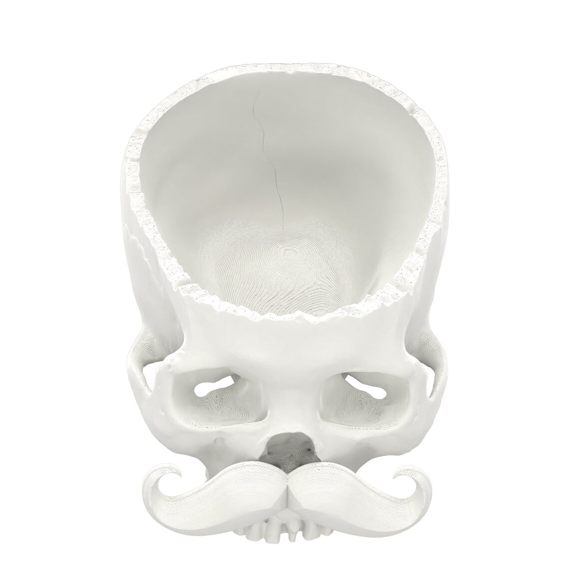 Realistic Skull With Mustache Bowl, Halloween Candy Bowl, Spooky ...