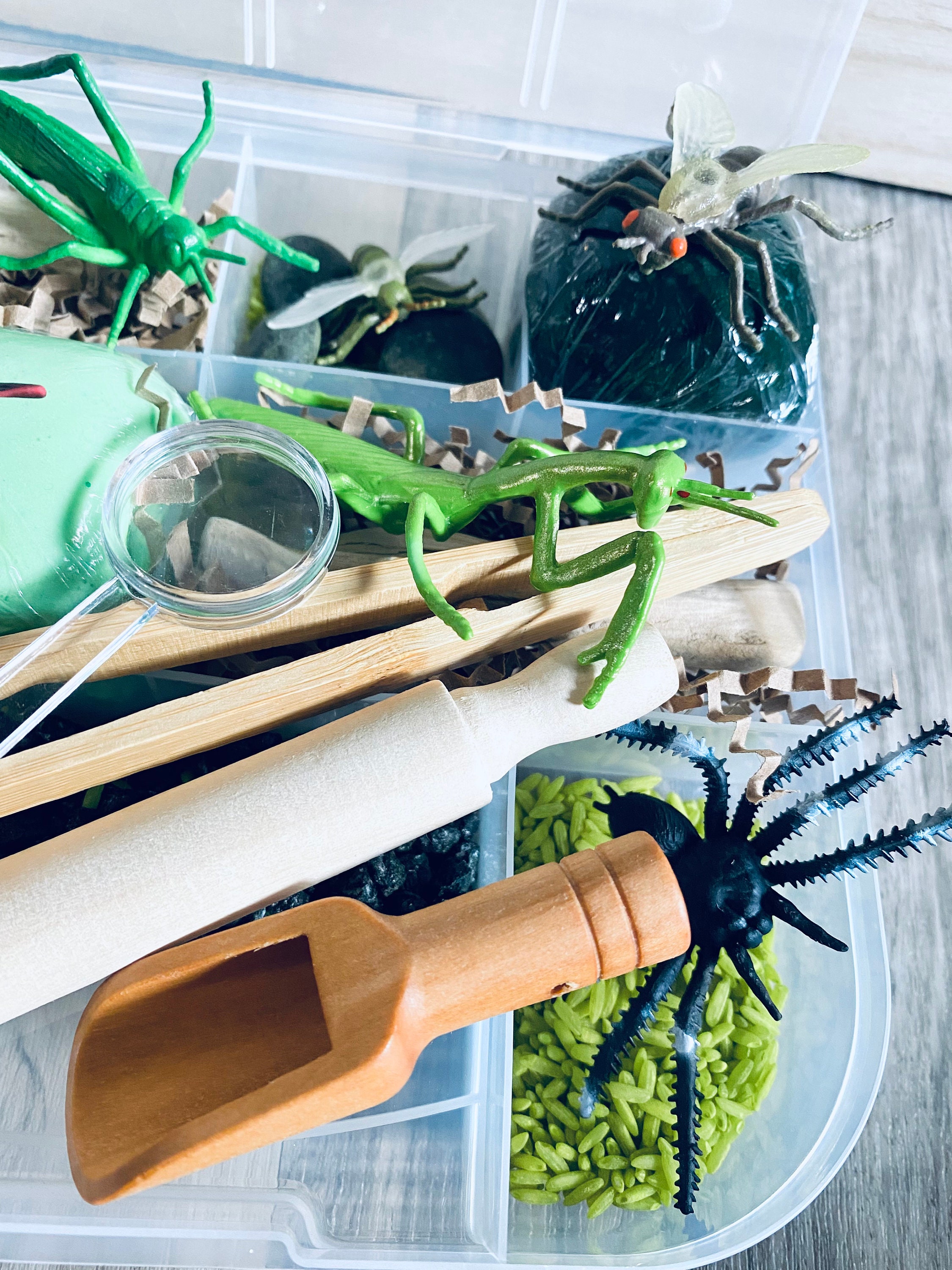 Bugs Sensory Play Kit Sensory Box Gift for Boy Boy Gift - Etsy