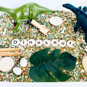 XL Dino Dig Sensory Bin Kit, Kids Activity Kit, Sensory Play Kit ...