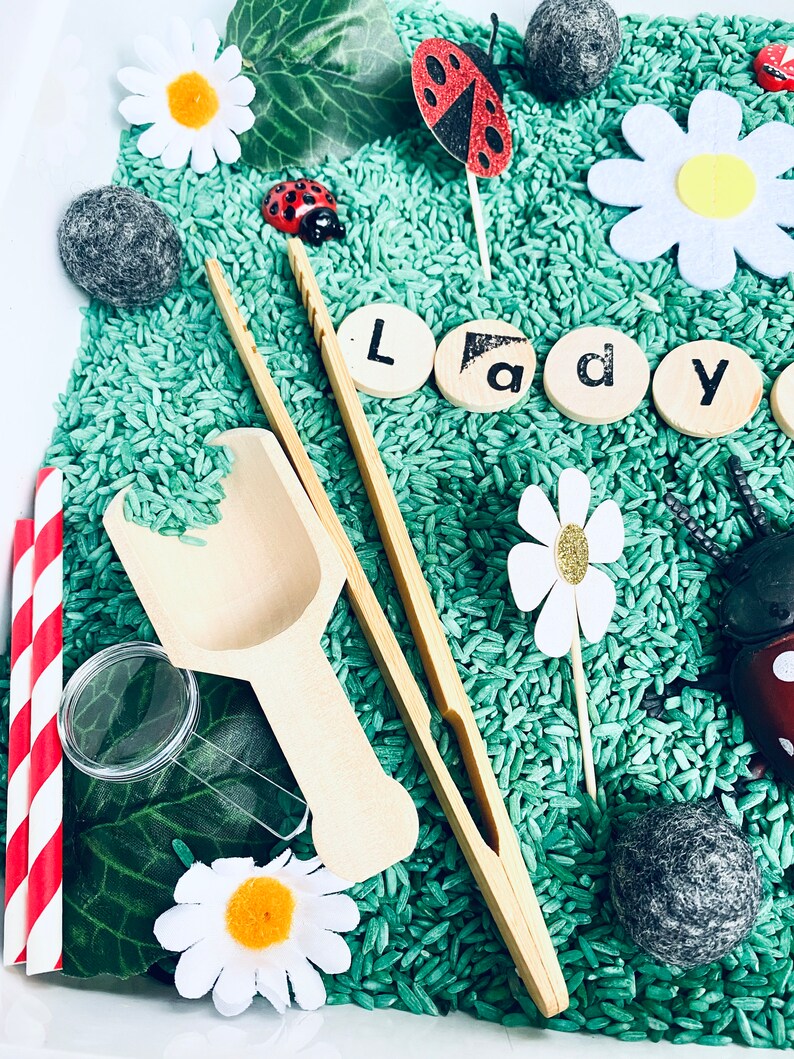 Ladybug Sensory Bin, Ladybugs Sensory Play, Busy Box, Sensory Play ...