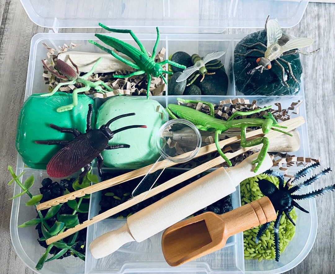 Bugs Sensory Play Kit, Sensory Box, Gift for Boy, Boy Gift, Playdoh Kit ...