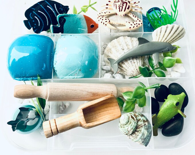 Dreaming of the Sea Sensory Kit, Sensory Play, Ocean Sensory Kit, Kids ...
