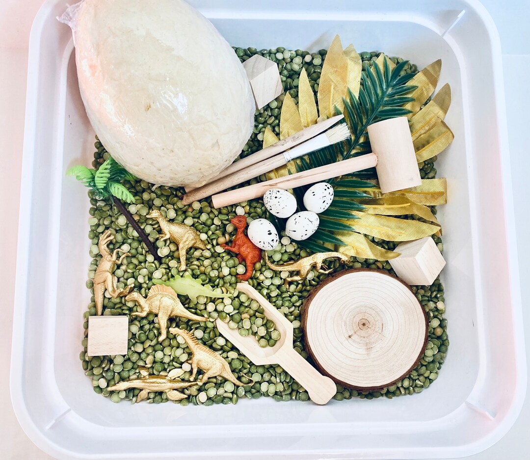 Dino Dig Sensory Kit, Kids Activity Kit, Sensory Play Kit, Sensory Bin ...