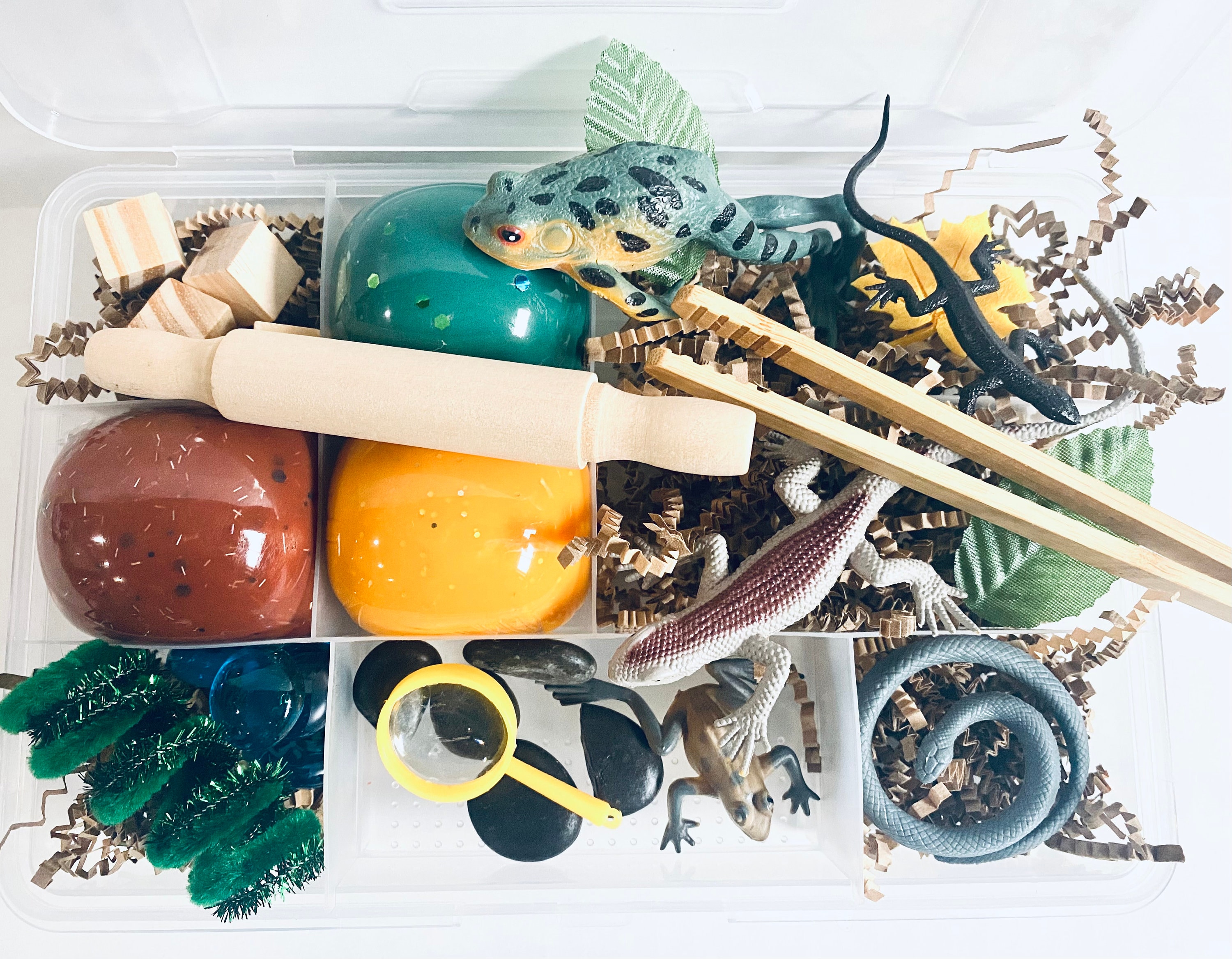 Reptile Play Dough Kit, Play Dough Kit, Lizards and Frogs Sensory Play ...