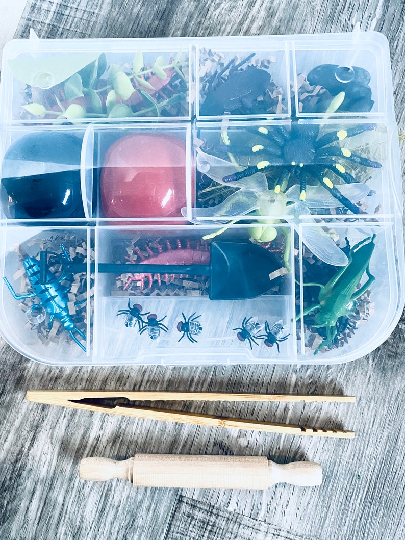 Bugs Sensory Play Kit, Sensory Box, Gift for Boy, Boy Gift, Playdoh Kit ...