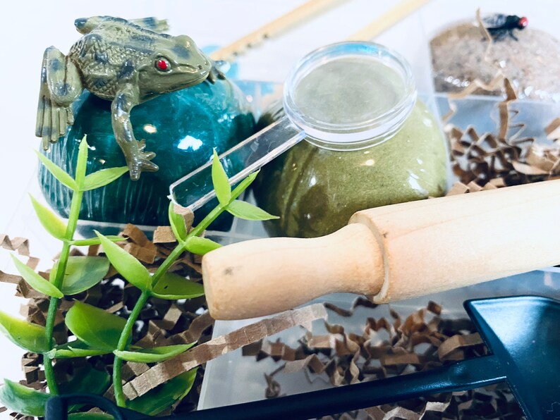 Frog Sensory Kit, Sensory Play, Frog Sensory Kit, Kids Busy Box, Kids ...