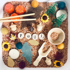 Fall Sensory Kit, Fall Sensory Bin, Autumn Sensory Play, Kids Sensory ...
