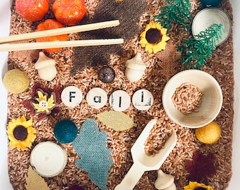 Fall Sensory Kit, Fall Sensory Bin, Autumn Sensory Play, Kids Sensory ...
