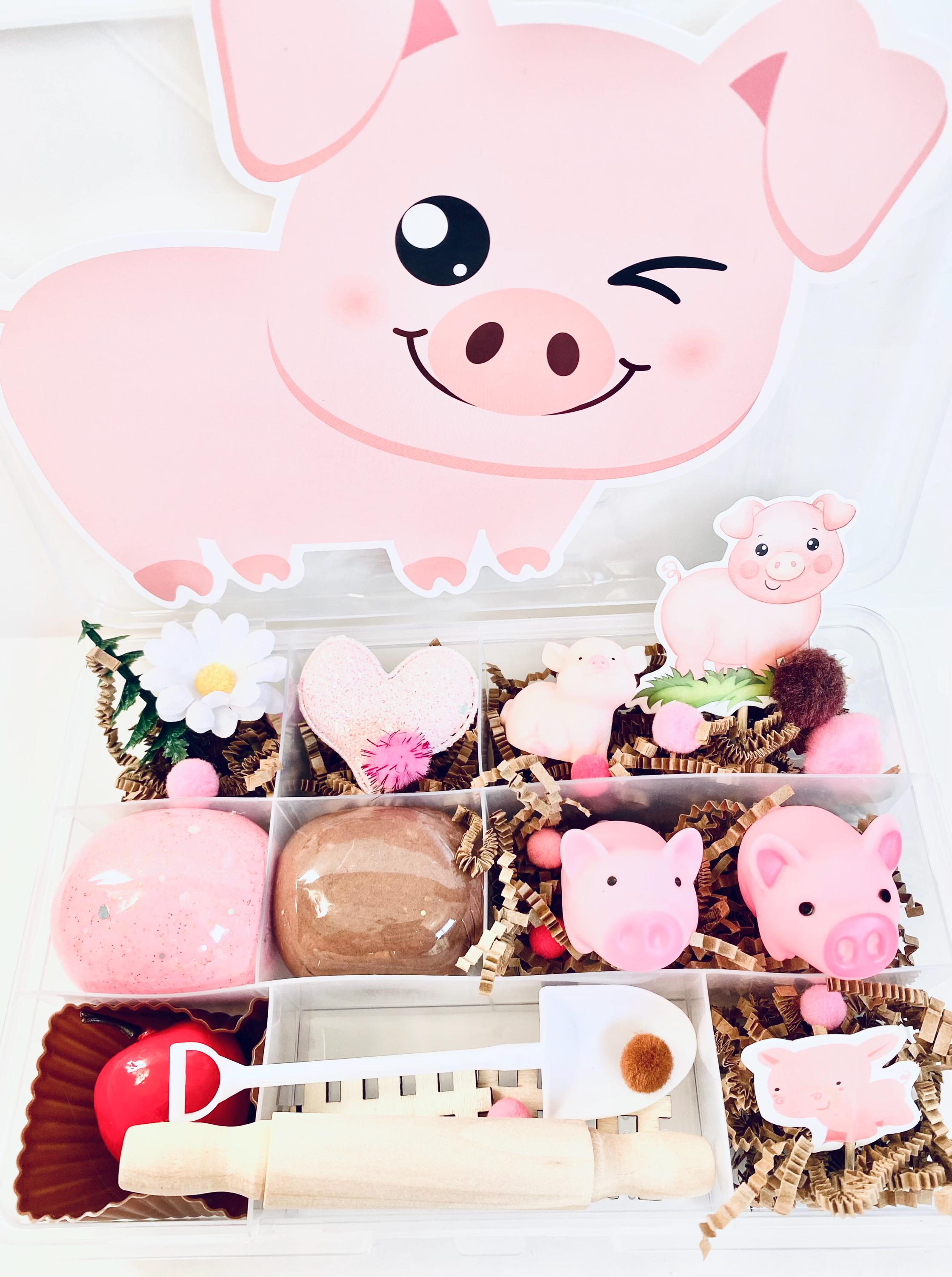 Pigs Sensory Play Kit, Kids Busy Box, Sensory Play, Kids Gift, Play ...