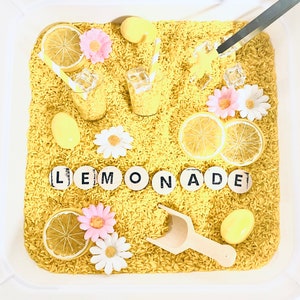 Spring Sensory Kit, Lemonade Sensory Play,summer Sensory Bin, Sensory ...