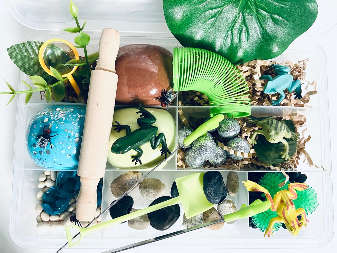 Frog Sensory Kit, Sensory Play, Frog Sensory Kit, Kids Busy Box, Kids ...